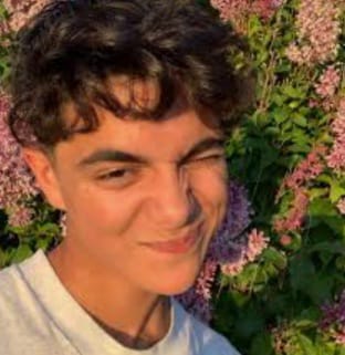 How well do you know BENOFTHEWEEK? (Ben De Almeida) - Test | Quotev