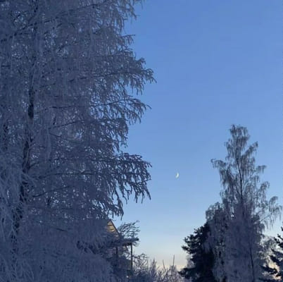 Are You More Like Augustine Or Winnie? - Cold Front - Quiz | Quotev