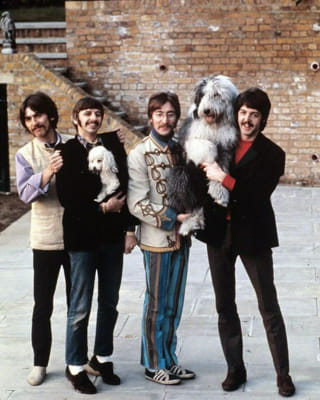 which beatles are you most close tooooo? - Quiz | Quotev