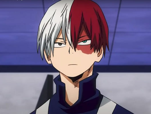 How much do you know Shoto Todoroki? (MHA) - Test | Quotev