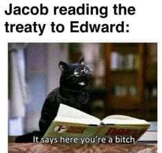Twilight: Edward vs Jacob meme war - Quiz | Quotev