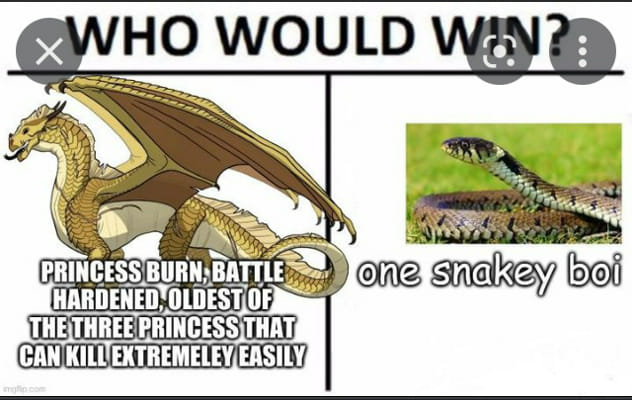 Wof memes - Survey | Quotev