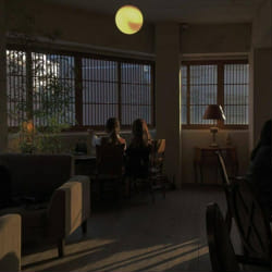 Random polls - Survey | Quotev