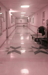 The Hospital - Quiz | Quotev