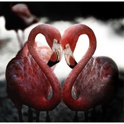 What is the first letter of your true love's name? - Quiz | Quotev
