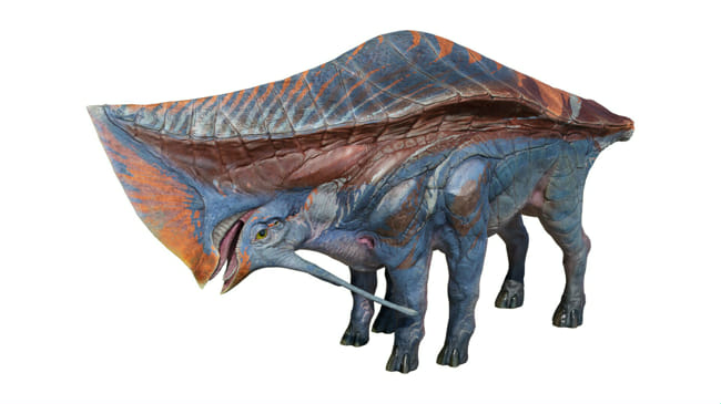 Your life on Pandora - Quiz | Quotev