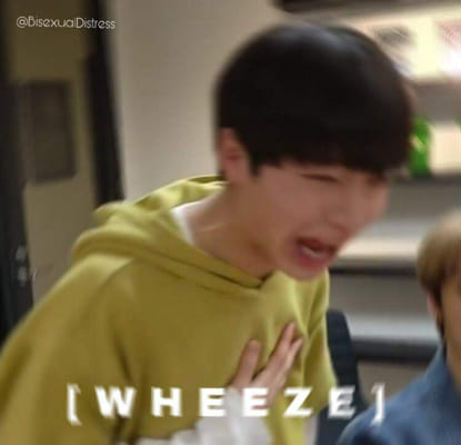 Choose a cursed SKZ photo and get a SKZ meme! - Quiz | Quotev