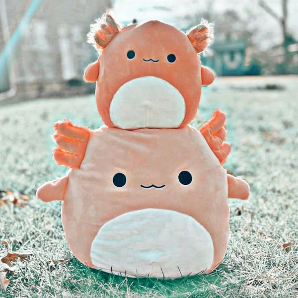 Pick Some Colors And Get A Squishmallow - Quiz | Quotev