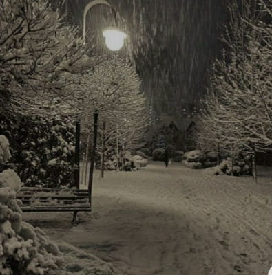 Are You More Like Augustine Or Winnie? - Cold Front - Quiz | Quotev