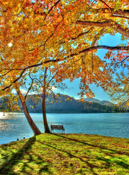 Where Should You Build Your New Home? - Quiz | Quotev