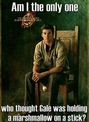 Would you survive the hunger games - Quiz | Quotev