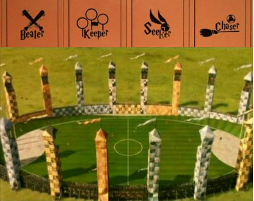 Which Quidditch position would you play? - Quiz | Quotev