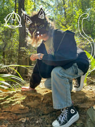 What quiz should I make? (Please take!) ~ - Survey | Quotev