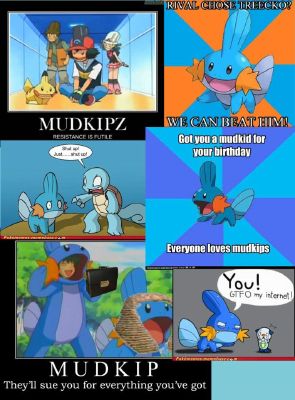 Pokemon Memes Mudkip