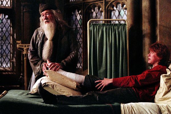 How well do you know Harry Potter - Test | Quotev