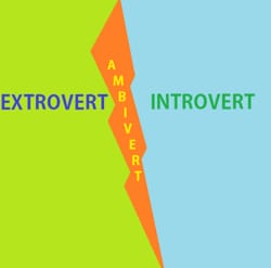 Introvert or extrovert? - Quiz | Quotev