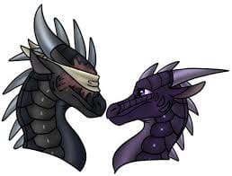 WoF ships - Test | Quotev