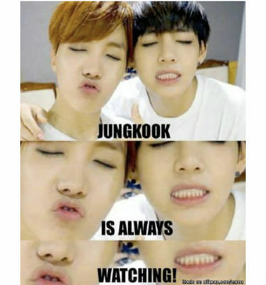 What is your fursona? (A furry test) - Quiz | Quotev