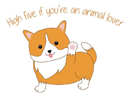 Are you a True Animal Lover? - Quiz | Quotev