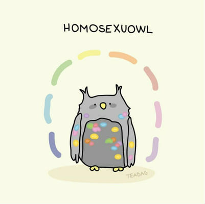 Choose some things and get a meme! - Quiz | Quotev