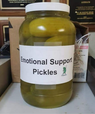 What kind of pickle are you? - Quiz | Quotev