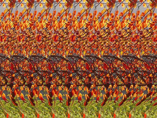 The Ultimate Stereogram Quiz - Test | Quotev