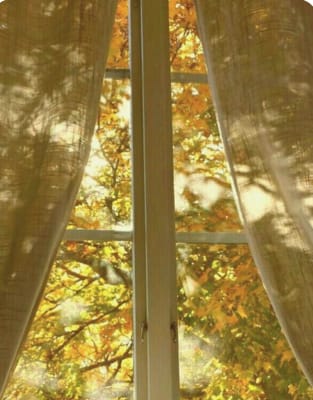 Have a cozy fall day! - Quiz | Quotev