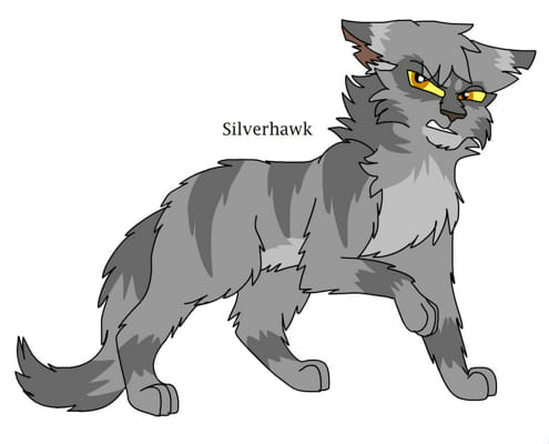 How well do you know Warrior Cats - Test