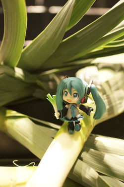 Who is your (most) hated Vocaloid Girl? - Quiz | Quotev