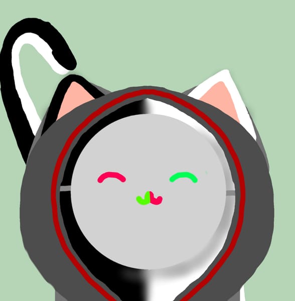 Almost A Cat | Quotev