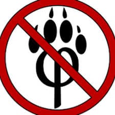 Are you an anti-therian? - Test | Quotev