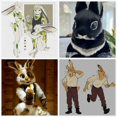 What should your unique fursona species be? - Quiz | Quotev