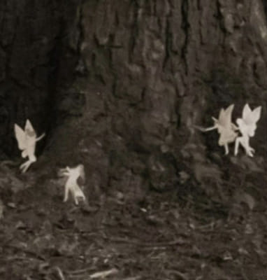 What type of fairy are you? ᵕ̈ - Quiz | Quotev