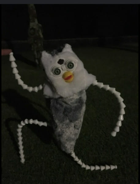 Answer some questions and I’ll give you a cursed furby - Quiz | Quotev