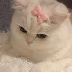 Does Jax have a crush on you? - Quiz | Quotev