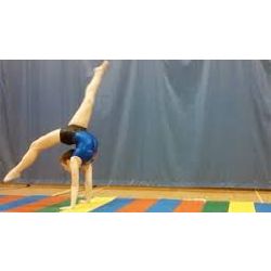 Do you know your skills? (gymnastics quiz) - Test | Quotev