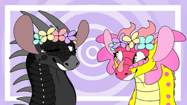 Ship or Rip! WoF Edition 3 - Quiz | Quotev