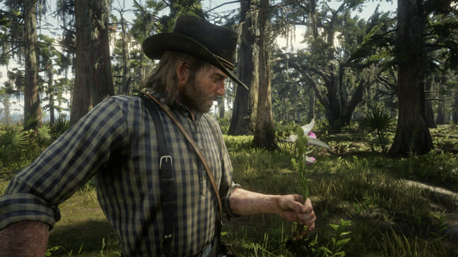 Which charthur (rdr2 charles smith x arthur Morgan) theme are you ...
