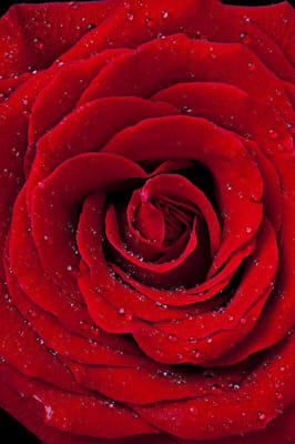 Which Ninjago Character is your soulmate? - Quiz