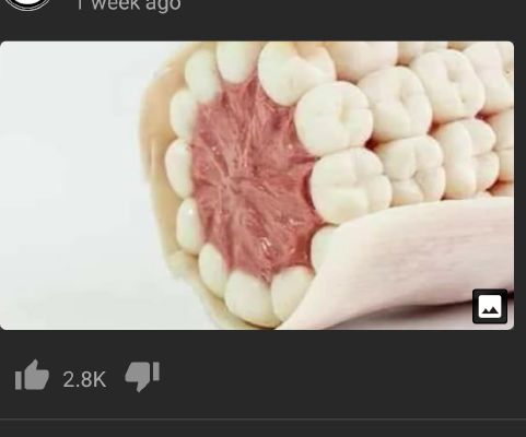 Have some cursed images - Quiz | Quotev