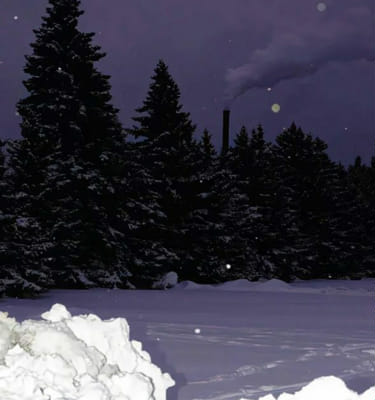 Are You More Like Augustine Or Winnie? - Cold Front - Quiz | Quotev