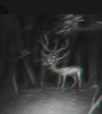 Which Of These Scary Creatures Are You? - Quiz | Quotev