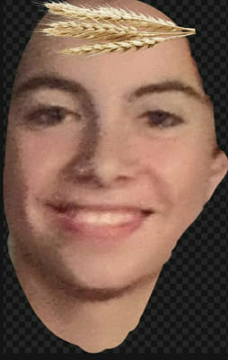 Ari vera Quiz - Test | Quotev