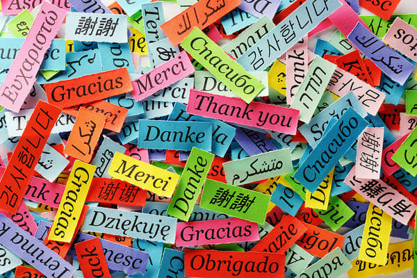 What Language Should You Learn? - Quiz | Quotev