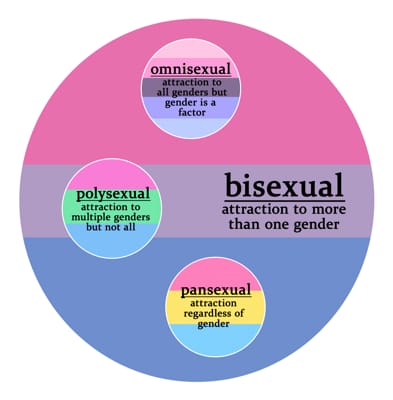 Which Bisexual Microlabel Are You? - Quiz | Quotev