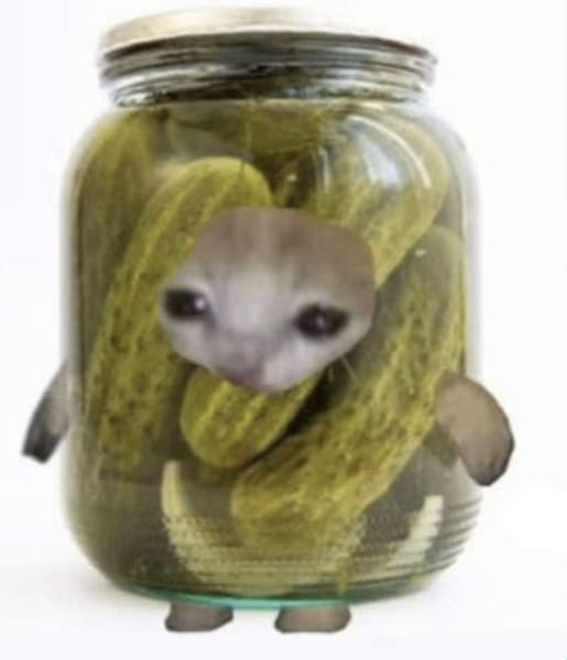 Pickles. - Survey | Quotev