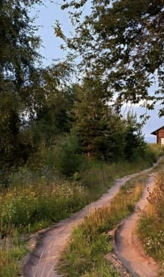 themes.fs.check pin | Quotev