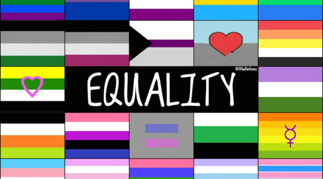 Guess the Pride Flags - Test | Quotev