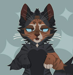 KingOfGotham | Quotev