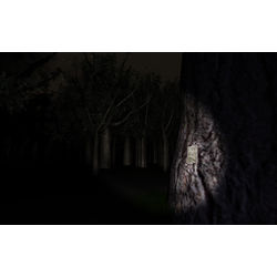 What Ghost Is Following You? - Quiz | Quotev